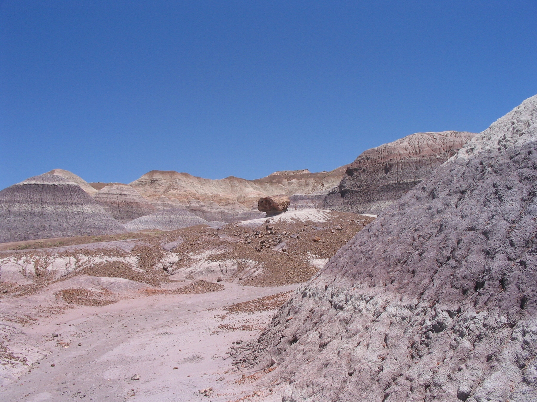 Tenney Nathanson – Richard Bryan McDaniel